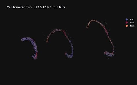 Apply SpaTrack To Infer Cell Transitions Across Multiple Time Points In Spatial Transcriptomic
