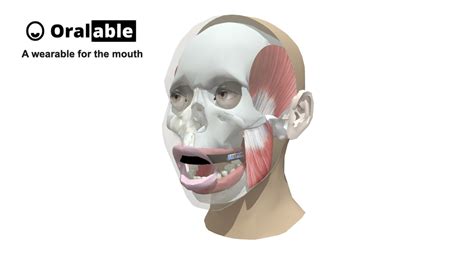Bruxism Detection With Oralable Copy 3d Model By Oralable