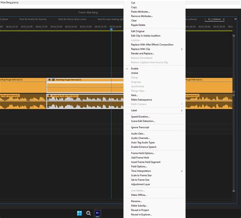 Is Anybody Else Having Issues With Context Menus In The Newest Premiere