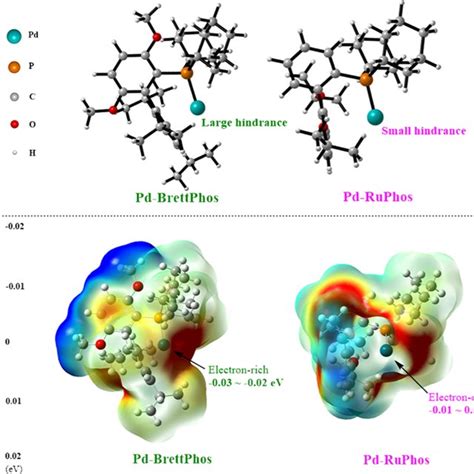 A Differences In Steric Hindrance Between Pd Brettphos And Pd Ruphos