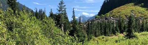 Big Four Ice Caves Trail Washington 1 621 Reviews Map Alltrails