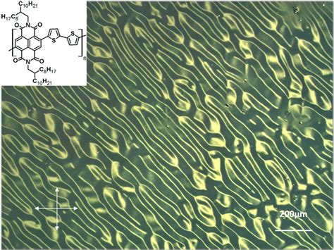 Cross Polarized Optical Microscope Image Optical Microscope Image Download Scientific Diagram Cross Polarized Optical Microscope Image Optical Microscope Image Download Scientific Diagram