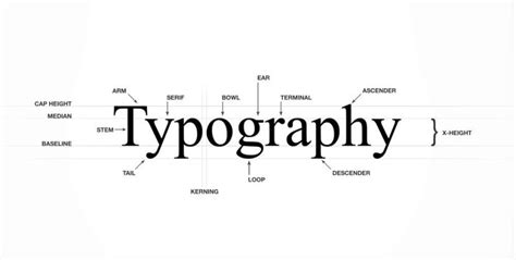 Типографика для начинающих советы по выбору и использованию шрифтов в графическом дизайне • Все