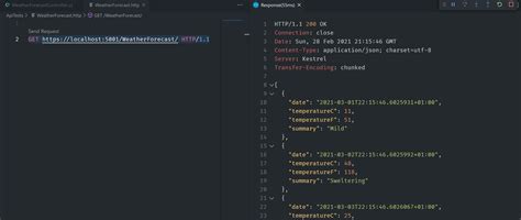 Trying The REST Client Extension For VSCode