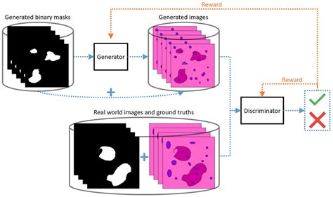 Use Of A Gan To Generate Examples For Histological Image Segmentation Download Scientific