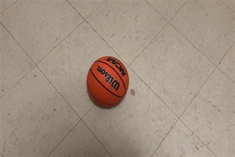 Basketballs Object Detection Dataset And Pre Trained Model By Autoboat