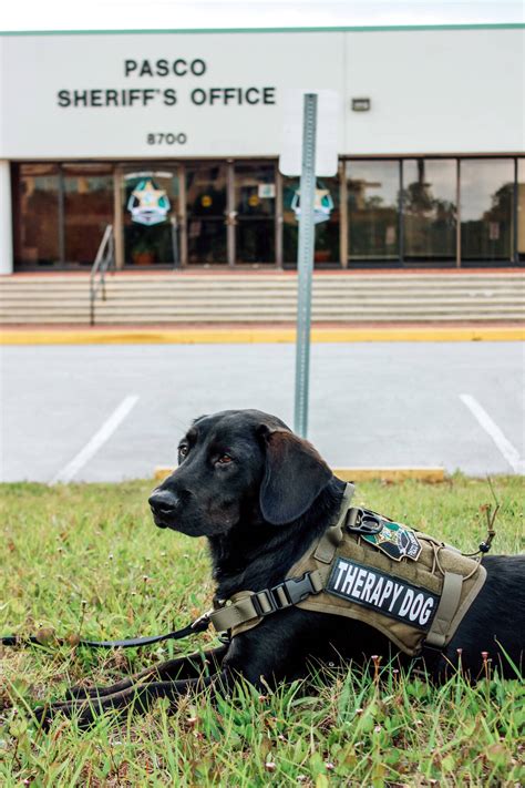 Sheriff Charles R Wells Florida Sheriffs Association