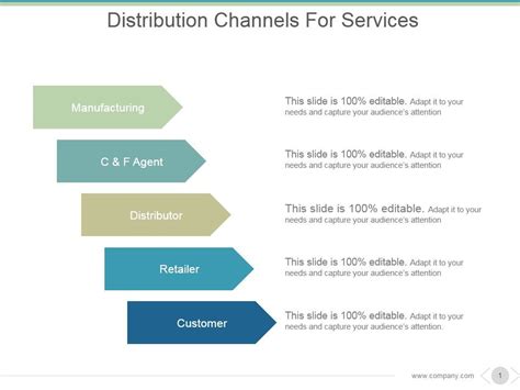 Distribution Channels For Services Ppt PowerPoint Presentation Layouts