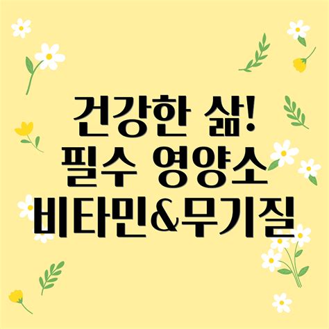 건강한 삶을 위한 필수 영양소 우리 몸에 꼭 필요한 비타민과 무기질 완벽 가이드