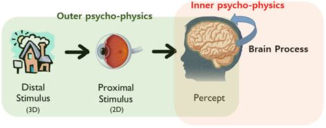 Psychophysics Of Haptic Perception Historically Psychophysics Started