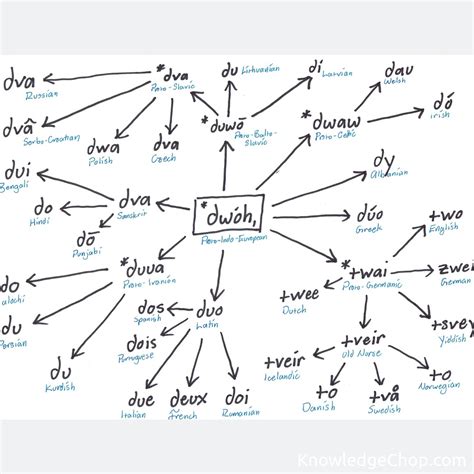 The Evolution Of Two In Various Indo European Languages 🥷 Knowledge Ninja