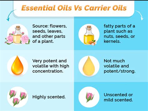 Carrier Oil Vs Base Oil Essential Oil Corner