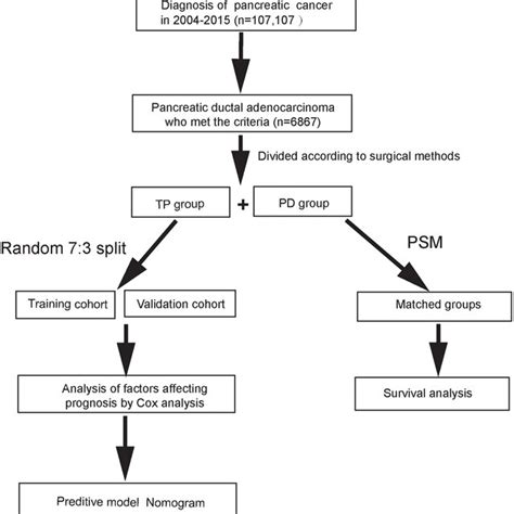 Simple Flow Diagram Of The Study Download Scientific Diagram