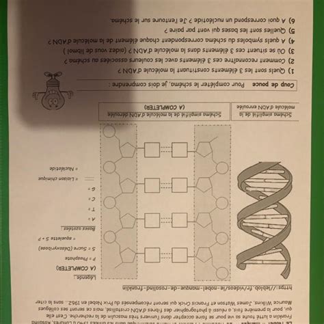 Bonjour Schéma à Compléter Sur Ladn Merci Nosdevoirsfr