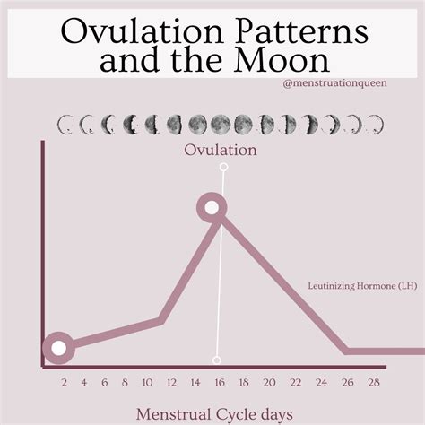 Ovulation Patterns For Women And The Moon Womb Healing Ovulation