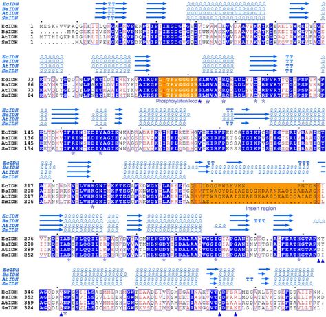 structure based protein sequence alignment of smidh with other dimeric