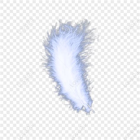 두 개의 겹치는 부드러운 흰색 깃털회색하얀 Png 일러스트 무료 다운로드 Lovepik