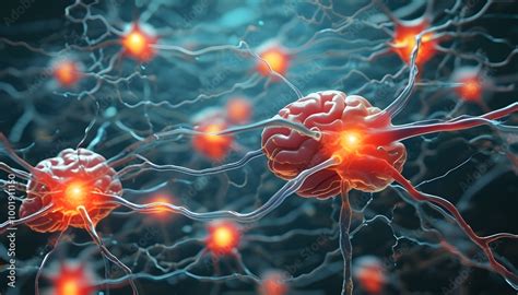 Exploring Neural Networks Insights Into The Human Brain Cognition