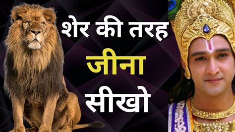 शेर Lion की तरह जीना सीखो Krishna Motivation Speech Youtube