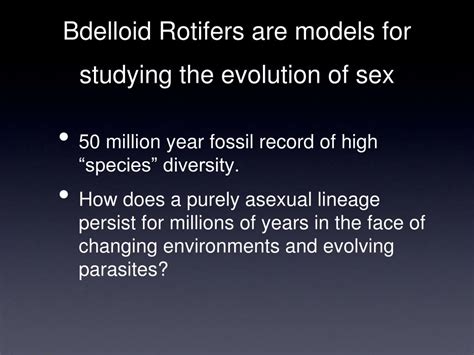 PPT What Is Sex PowerPoint Presentation Free Download ID 5656007