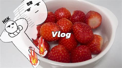 Vlog🍓 자취 8개월차 집밥이랑 친해지다 자격증 공부하면서 쉬는 일상📚 삼겹살 김밥 우삼겹 배추 당면 볶음 제철