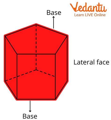 Lateral Faces In Geometry Definition And Easy Examples