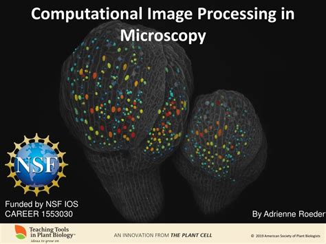 Ppt Computational Image Processing In Microscopy Powerpoint Presentation Id9191181