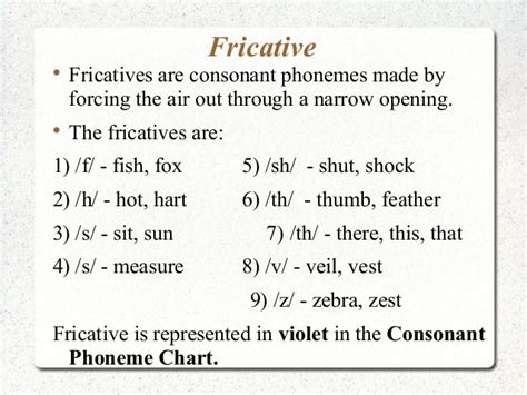 Languagelab 14 Master Plosive Fricative And Nasal