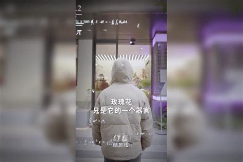 红星新发现单身狗如何渡劫