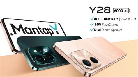 Perbandingan Harga HP Infinix Hot Pro Plus Vs Vivo Y Selisih Sedikit Spesifikasi Bersaing