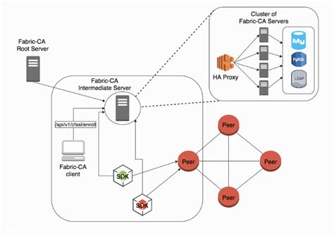 Hyperledger Fabric 系统架构详解 区块链入门指南