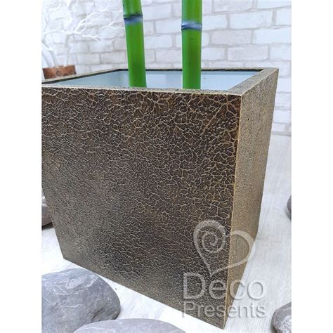 Бамбуковое дерево №215 с двумя стволами купить в Украине