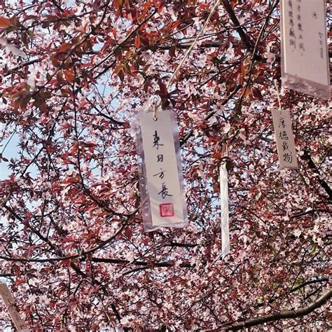 当分子分母与涉外相遇，你是几分之几？运动干饭生活