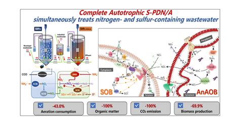 Autotrophic Sulfur Driven Partial Denitrification As A Sustainable Nitrite Supply Pathway For