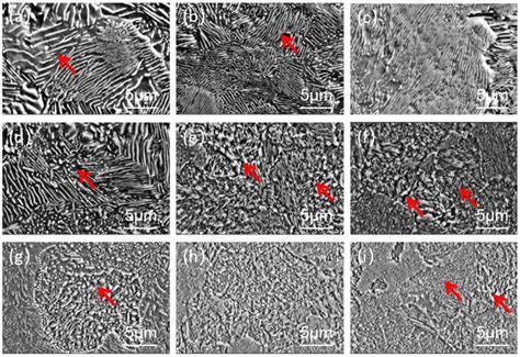 A Rapid Spheroidizing Annealing Process For High Carbon Steel Pmc