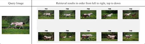 Result Of Image Retrieval With Low Level Feature Vector And Mid Level Download Scientific