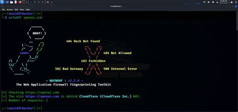 Cybersecurity Ethicalhacking Wafw00f Pentesting Bugbounty Infosec… Mueid Hasan