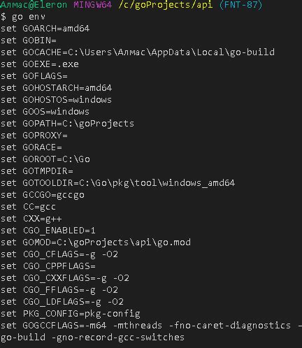 Problems With Go Extension Please Help Issue Microsoft Vscode Go Github