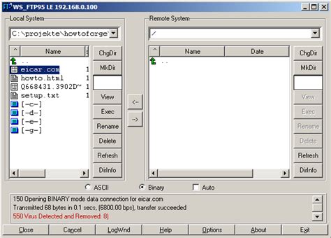 How To Integrate Clamav Through Modclamav Into Proftpd For Virus