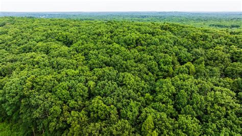 Stratham Conserves Crucial Trail Link With 17 Acre Acquisition