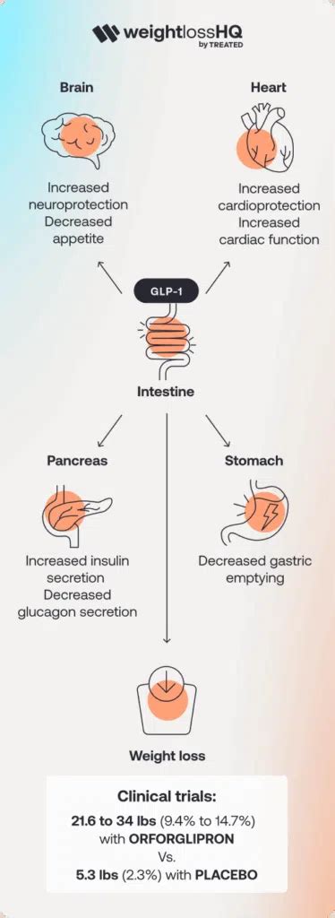 What Is Orforglipron The New Glp 1 Pill Treated Uk