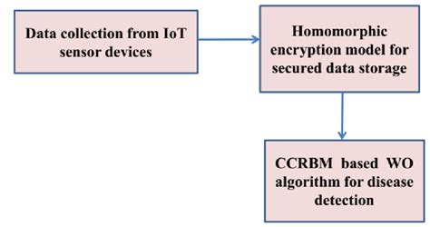 Proposed Workflow Diagram Download Scientific Diagram