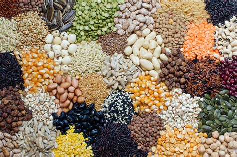 건강한 식품 성분 또는 농산물 컨셉을 위한 다양한 종류의 천연 시리얼 및 곡물 종자 제품 다양에 대한 스톡 사진 및 기타 이미지 다양 씨앗 밀 Istock