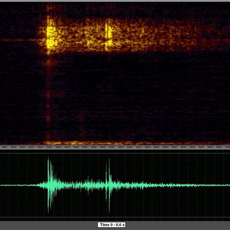 Spectrogram And Time Display Of Click 3 In Series A Frequency Scale 0