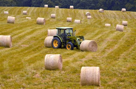 Planting Hay Fields At Ruby Ethel Blog