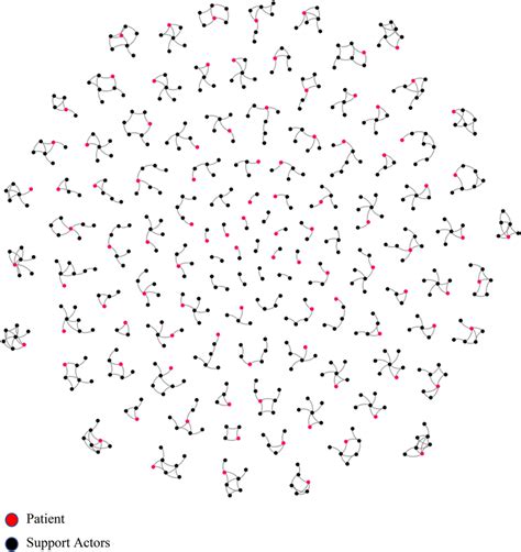 Sociograms Of Patients Ego Networks Download Scientific Diagram