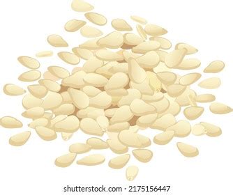 Sesame Seeds Vector Illustration Flat Design Stock Vector Royalty Free