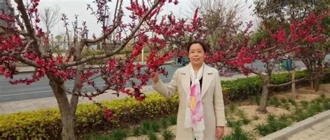 一中教师风采眼中有光心中有爱胸中有温情教师张东巧 教学 教育 成绩