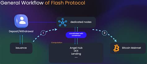 Breadth And Depth Flash Protocols Approach For More Taproot Asset Use Cases By Flash